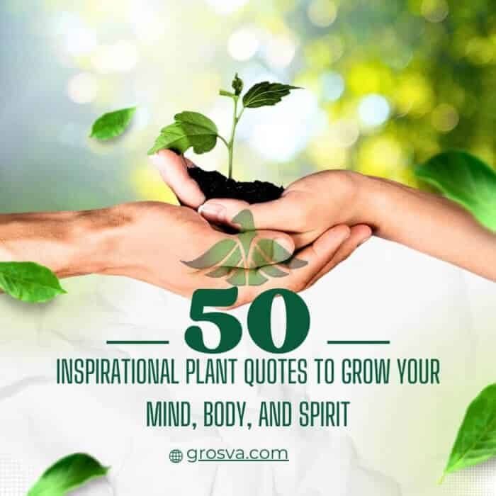 50 Inspirational Plant Quotes to Grow Your Mind, Body, and Spirit - Grosva