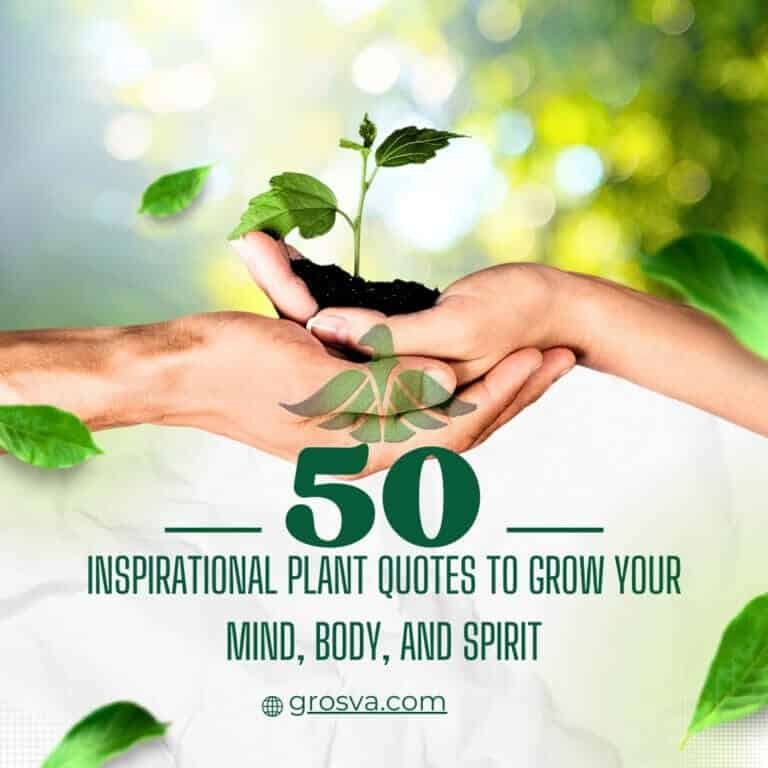 50 Inspirational Plant Quotes to Grow Your Mind, Body, and Spirit - Grosva